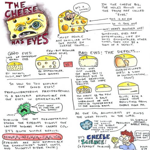 The Cheese Has Eyes - Amusée