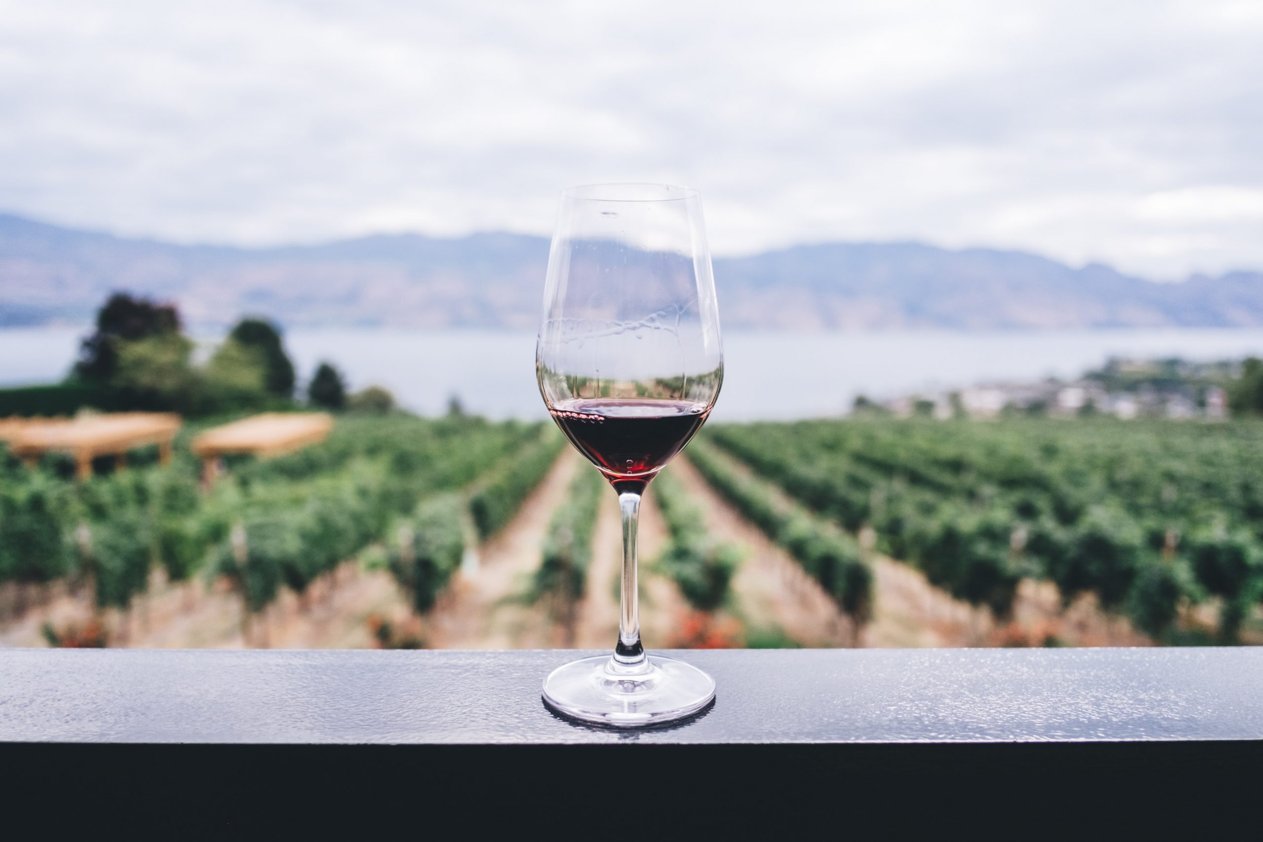 Virtual Wine Class: Navigating the Napa Valley - Amusée