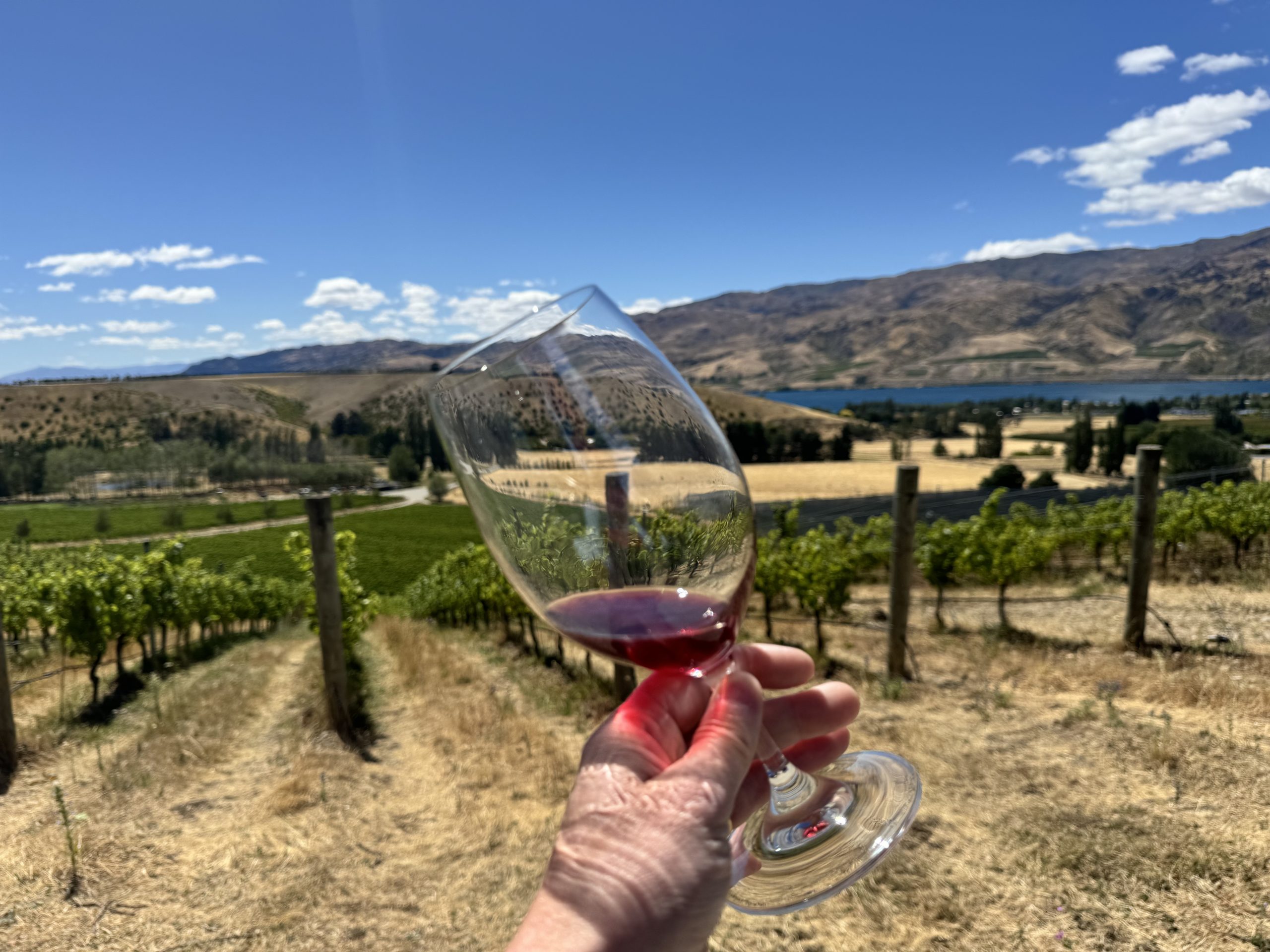 All you need to know about New Zealand Wine (+ travel) Class - Amusée